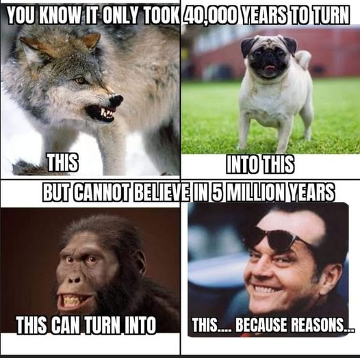 If you have ever seen this pro evolution meme. – 1love1god.com