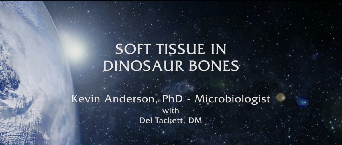 The soft tissue found in dinosaur bone debate – 1love1god.com